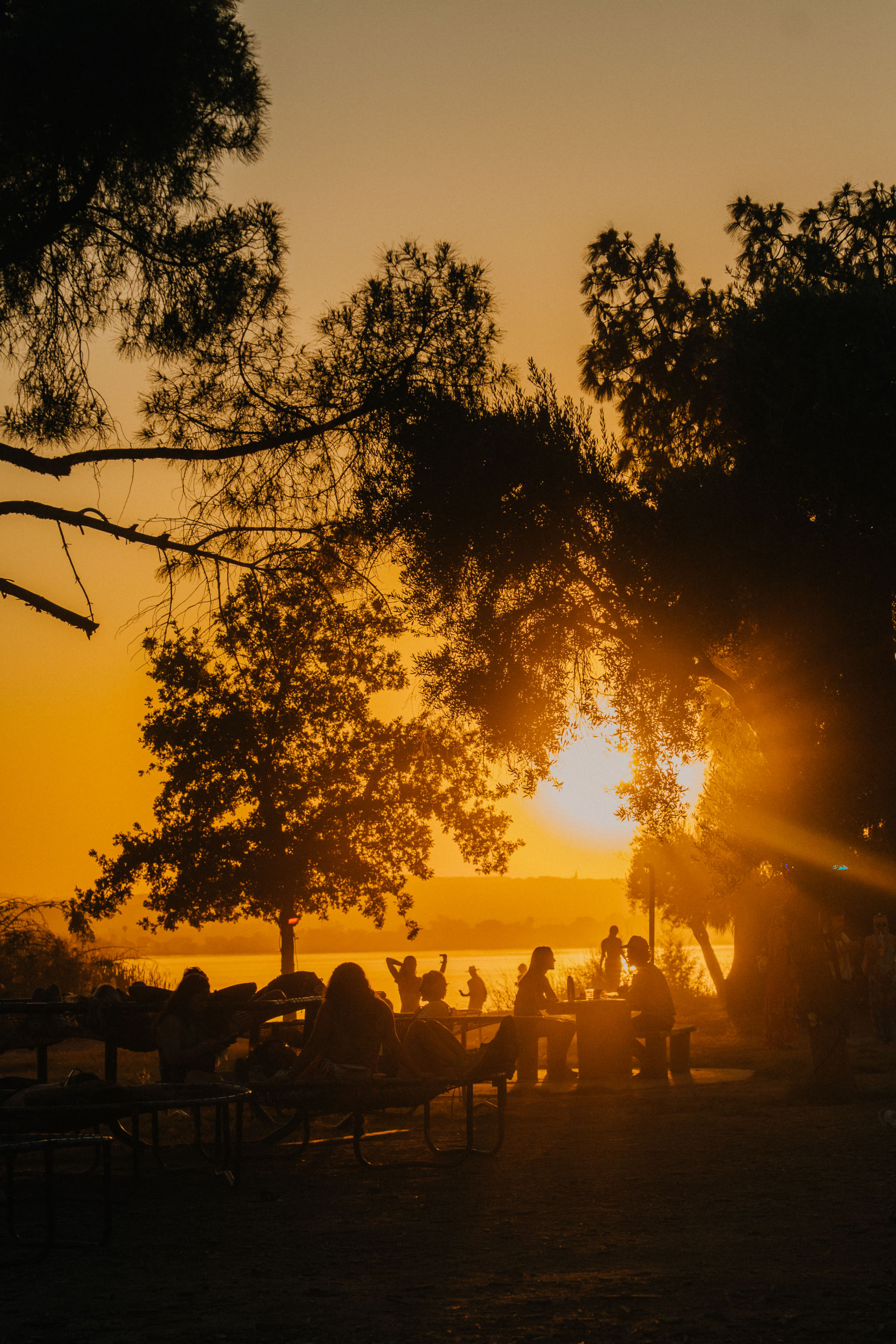 Festival Report Card: Lightning In A Bottle 2026 - EDM MANIAC